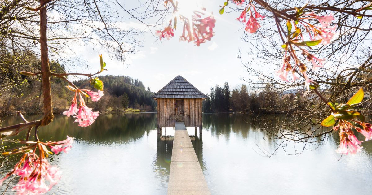 Marktgemeinde Moosburg in Kärnten